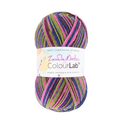 West Yorkshire Spinners Colour Lab DK Yarn at WEBS | Yarn.com