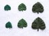 Monstera leaves | LoveCrafts