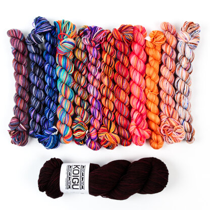 Koigu Supernova MKAL 2023 Yarn Pack Yarn at WEBS | Yarn.com