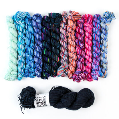 Koigu Supernova MKAL 2023 Yarn Pack Yarn at WEBS | Yarn.com