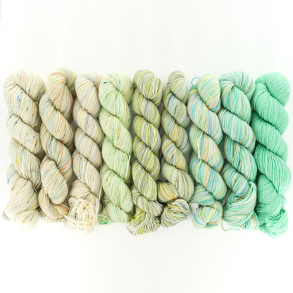 Koigu KPPPM Painter's Fade Palette Pack Yarn at WEBS | Yarn.com