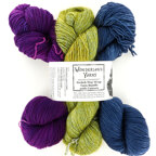 Wonderland Yarns Switch Way Wrap Yarn Bundle with Unicorn at WEBS ...