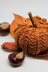 Pumpkins From The Patch | LoveCrafts