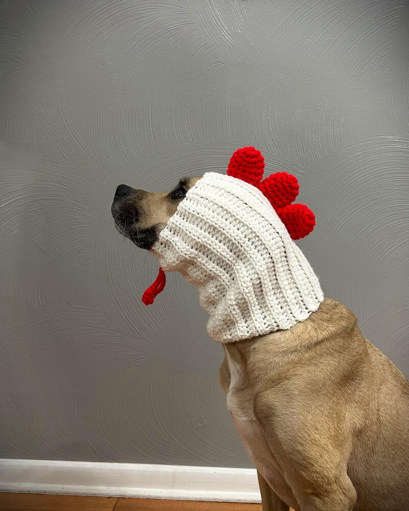 Dog Snood Knitting Pattern