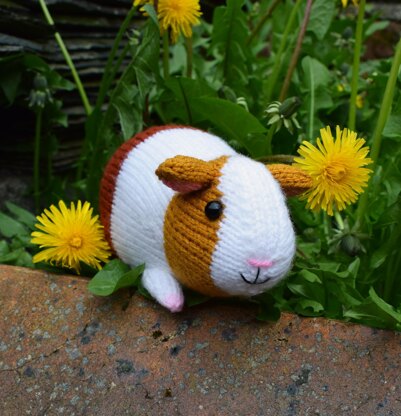 Gordon the Guinea Pig Knitting pattern by Trish Roberts | LoveCrafts
