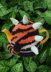 Punky Tiger Tea Cosy | LoveCrafts