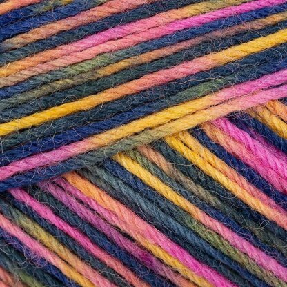 West Yorkshire Spinners Colour Lab DK Yarn at WEBS | Yarn.com